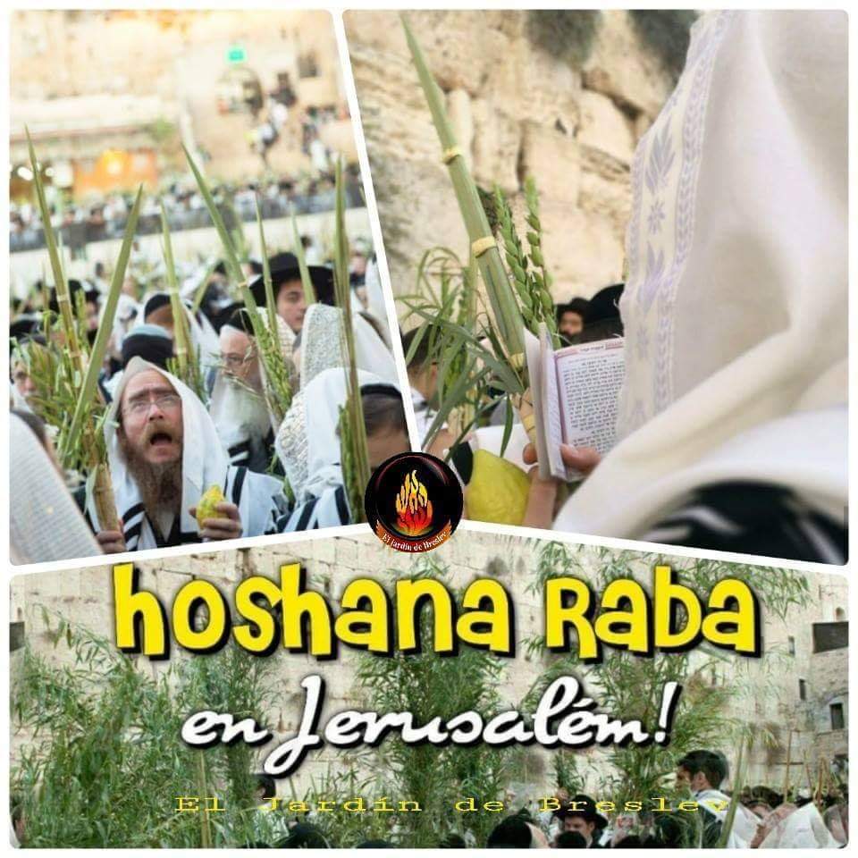 El gran día "Hoshana Raba" – El Jardín De Breslev